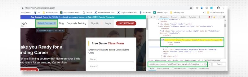 Selenium Commands on Complex WebElements